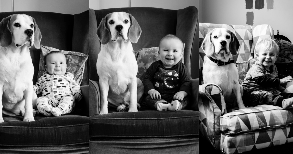 Baby And Beagle Pose For Adorable Monthly Photos Over Course Of 2 Years ...