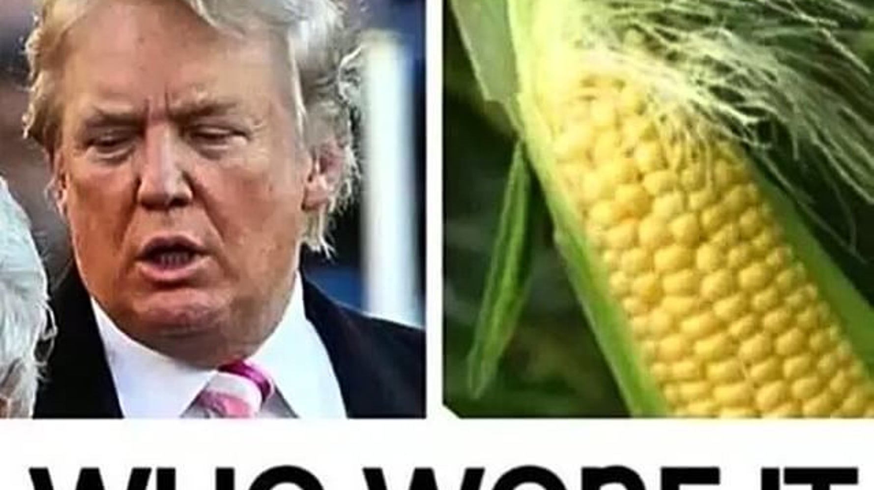 Donald Trump: Vegetable In Chief | HuffPost