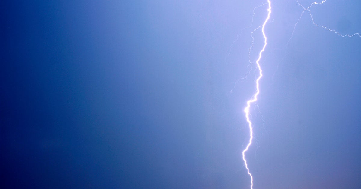 Lightning Bolt Kills More Than 300 Reindeer In Norway | HuffPost The ...