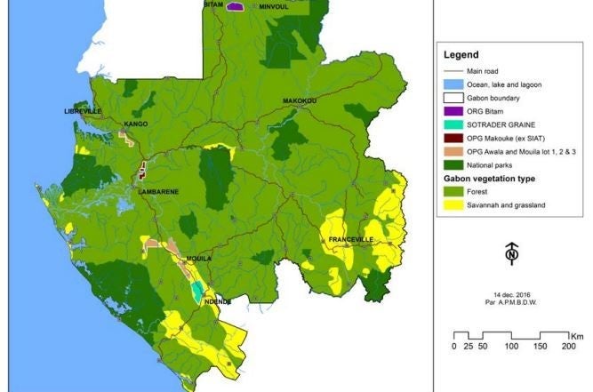 Gabon’s Palm Oil Project with Olam a Sustainable Development for Africa ...