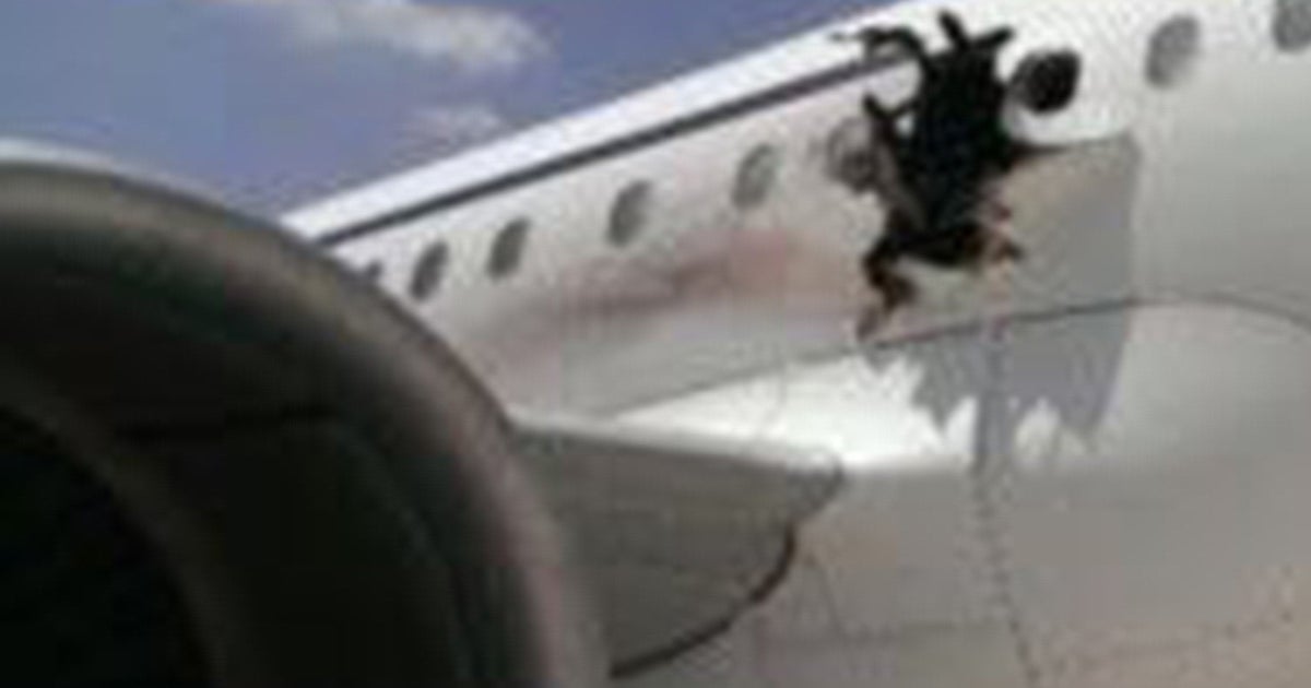 Cell Phone Video Captures Terrifying Flight After Blast Rips Hole In ...