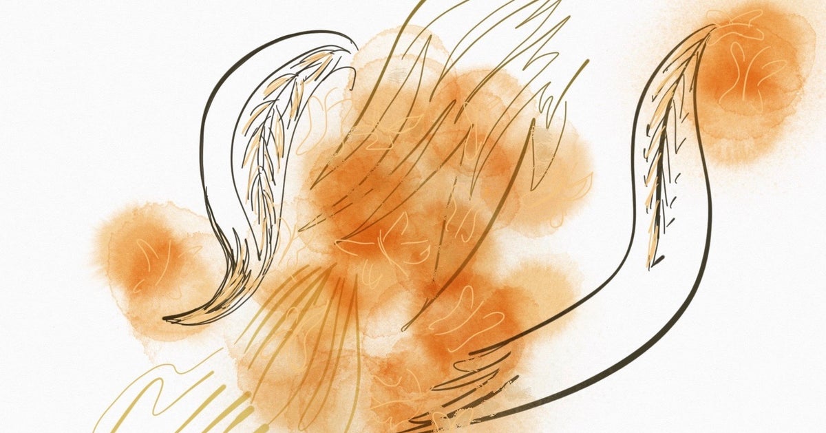 Confused or Co-fused? | HuffPost Contributor