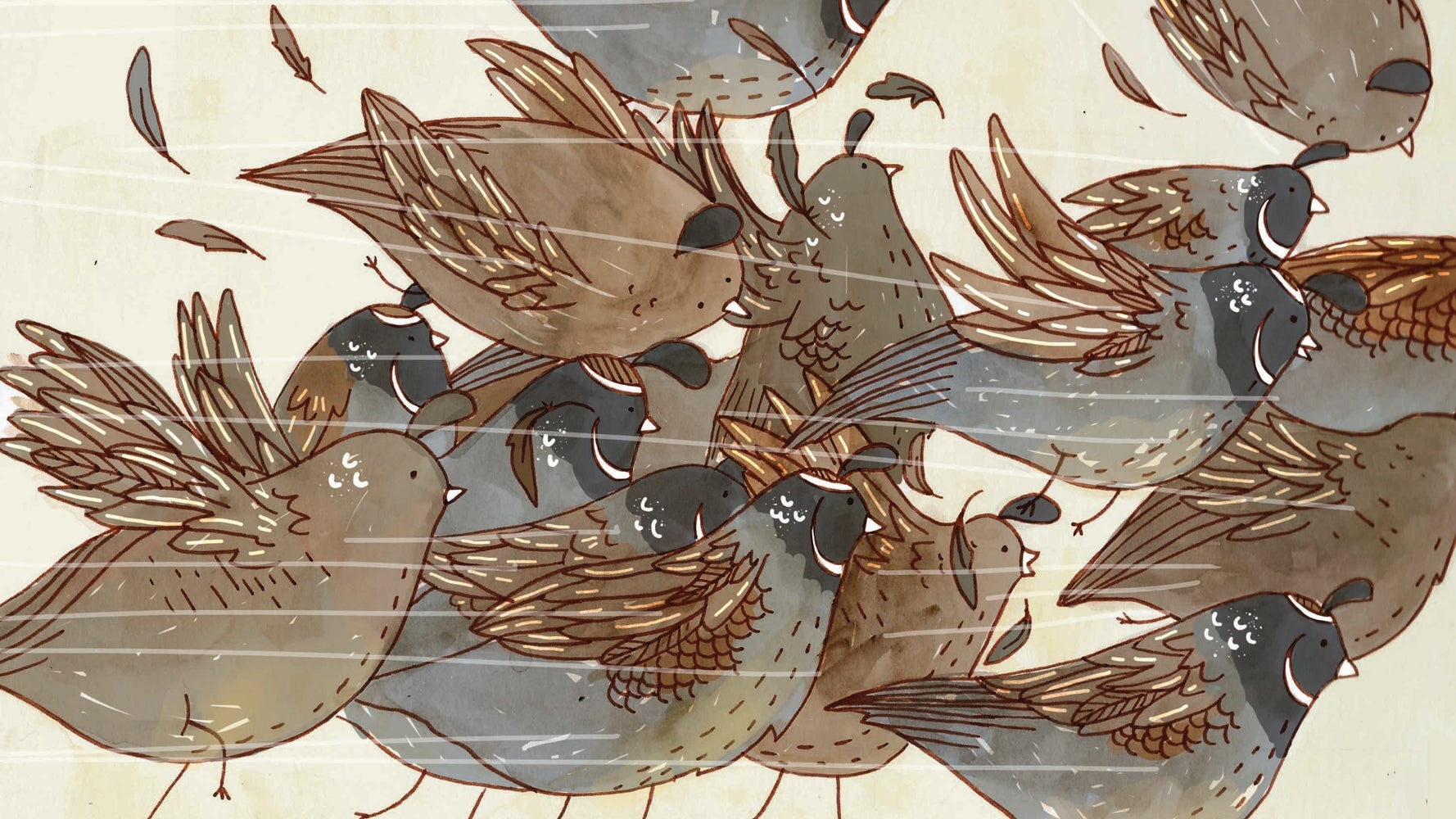 The Book of Quails: An Illustrated Story for Children | HuffPost ...