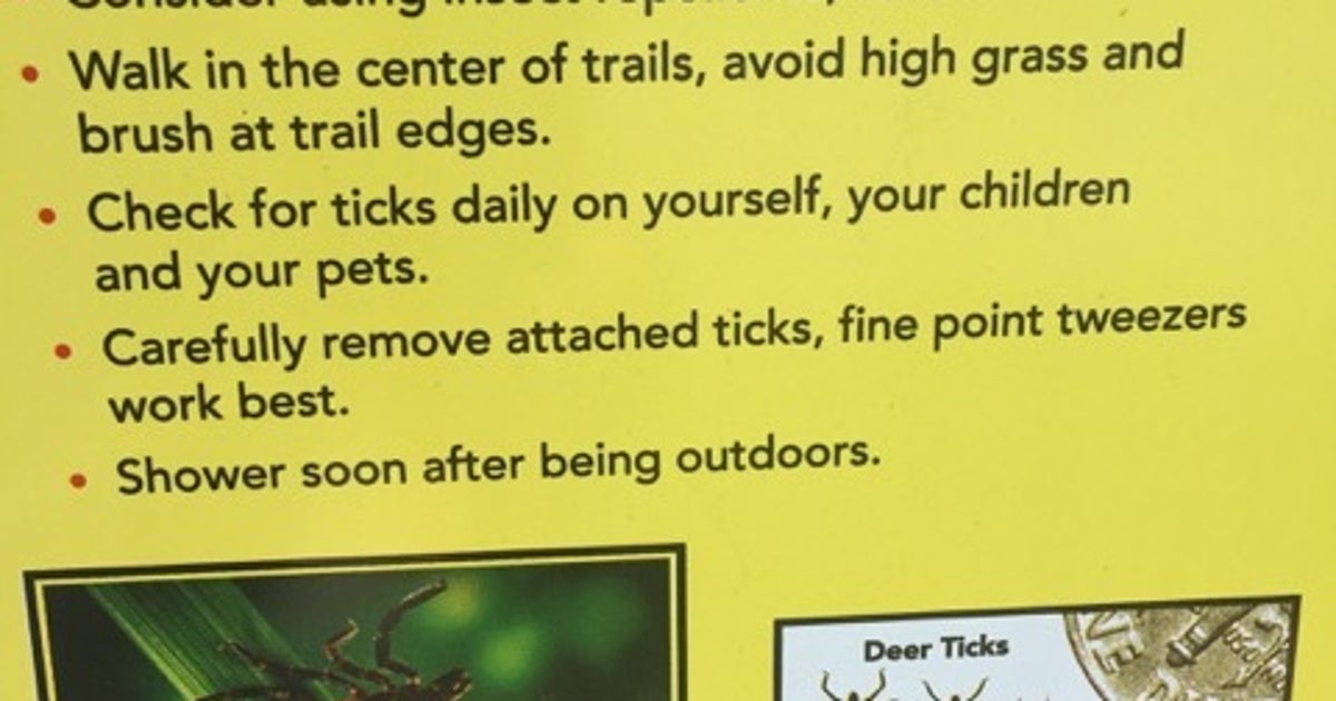 Flunk the Lyme test? Just wait and get sicker | HuffPost Contributor