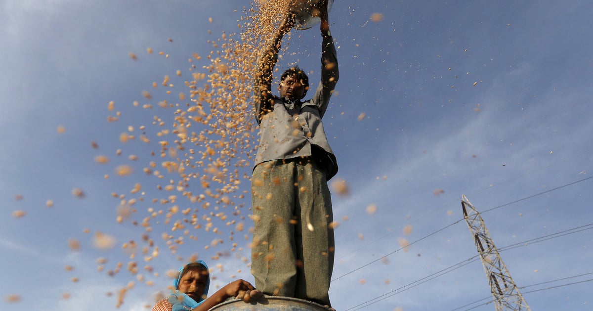 Farming May Have Started Way Earlier Than Scientists Thought | HuffPost ...