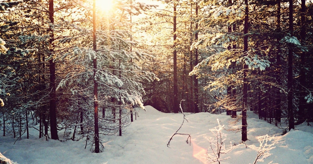 UK Snow: Expectation Vs Reality | HuffPost UK Life
