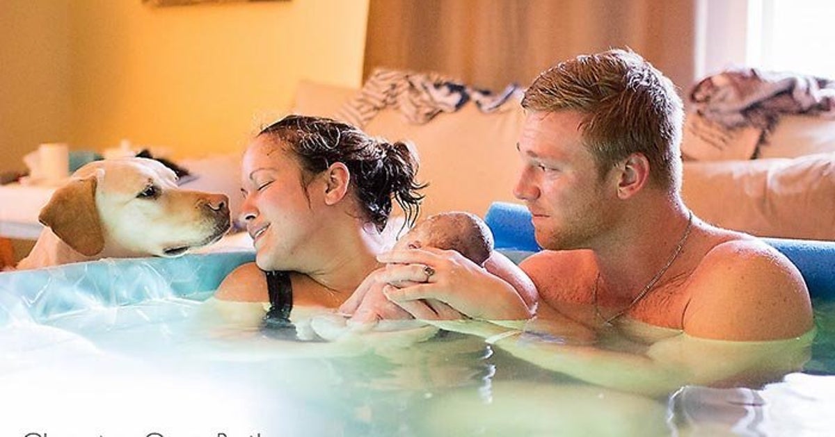 39 Photos Of Pets Supporting Their Humans Through Childbirth | HuffPost ...