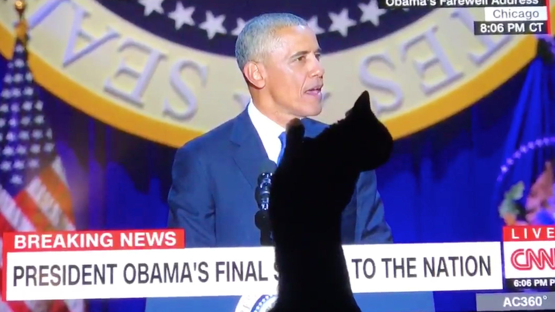 No One Is Sadder About Barack Obama Leaving Office Than These Pets ...