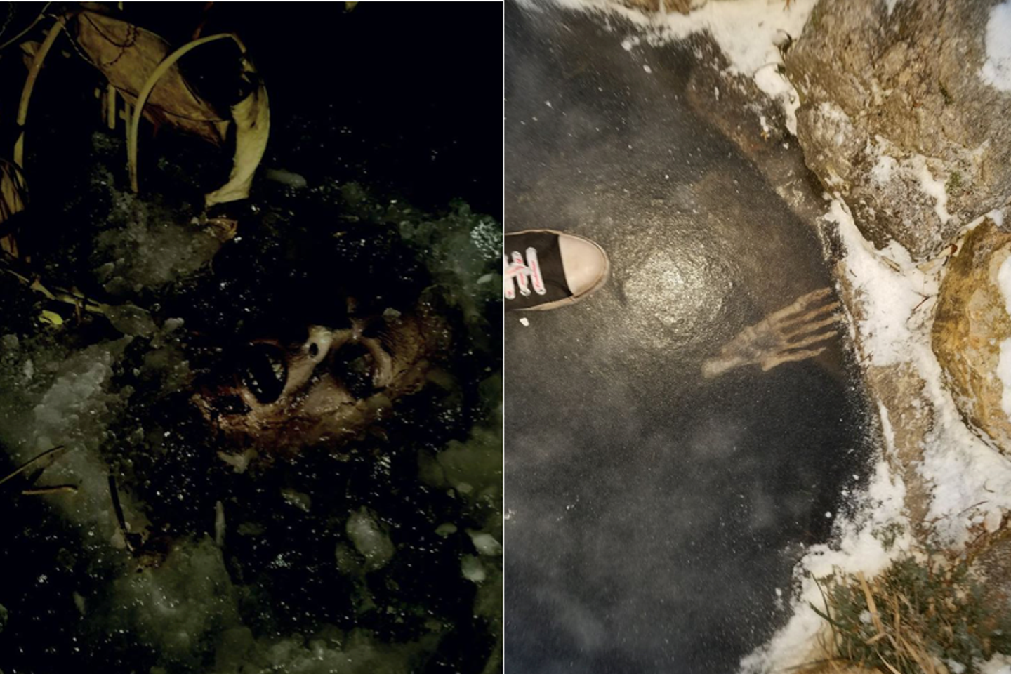 That’s Not A Dead Body, It’s Just A Zombie | HuffPost Weird News