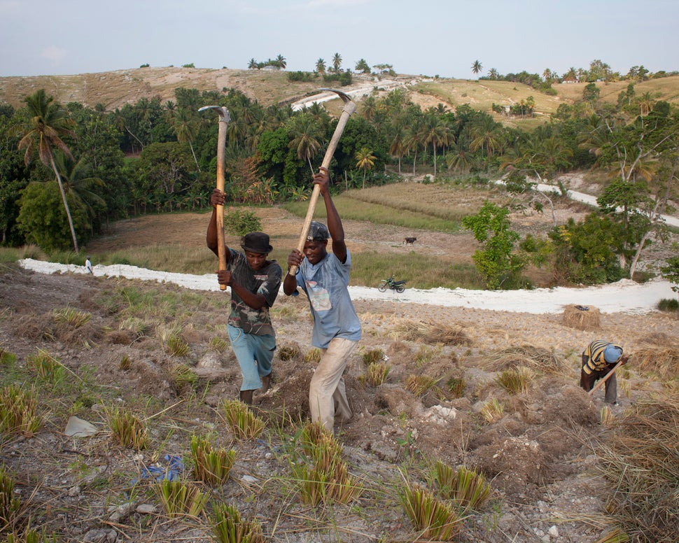 7 Years After Haiti's Earthquake, Millions Still Need Aid | HuffPost