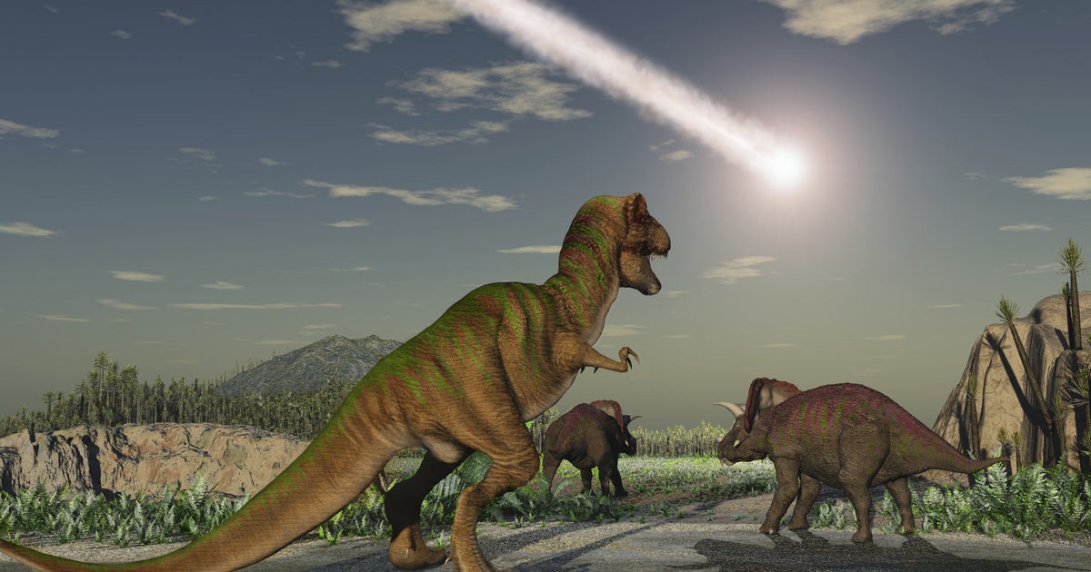 The Dinosaurs Died A Slow, Cold Death In Almost Complete Darkness ...