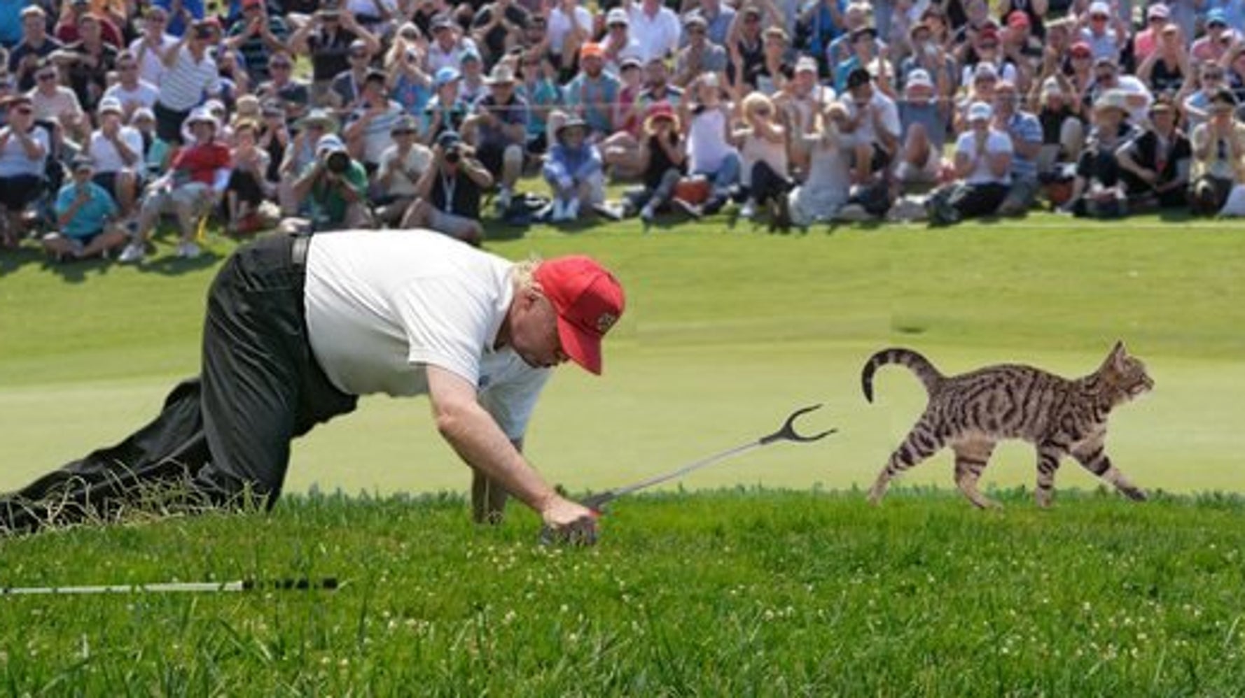 Weird Trump Golf Picture Gets The Ultimate Photoshop Treatment | HuffPost
