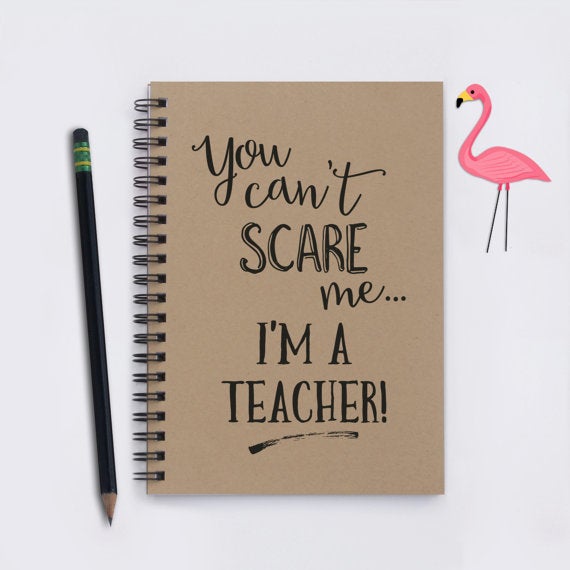 23 Hilarious Products Every Teacher Needs | HuffPost Life