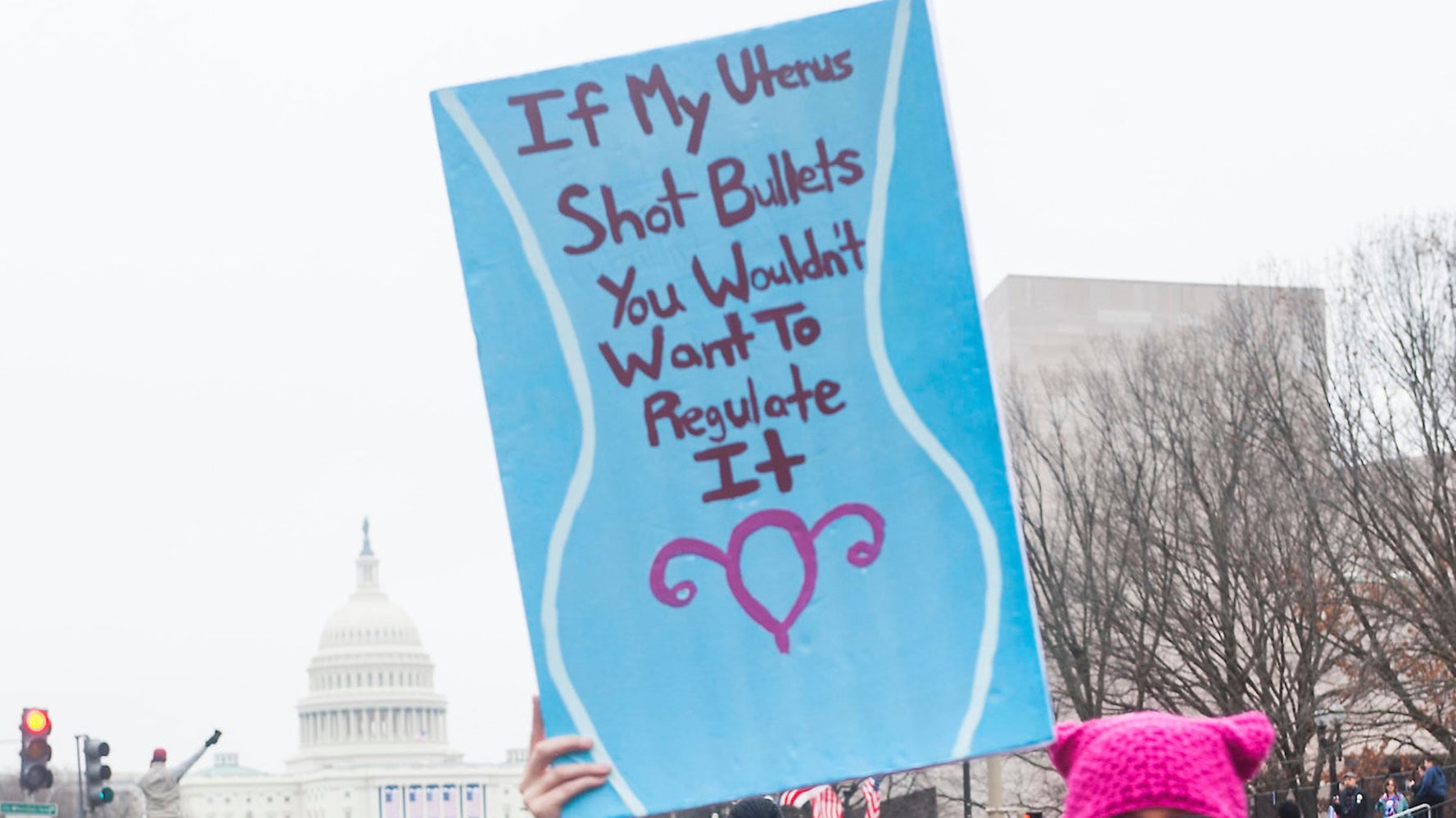 14 Signs From The Women's March To Honor Roe v. Wade's 44th Anniversary ...