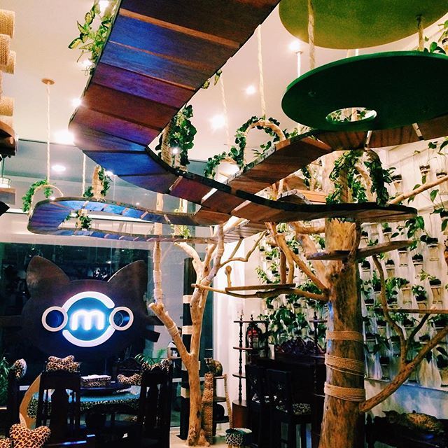 Animal Friendly Cafes That’ll Bring Out Your Inner Pet Lover | HuffPost ...