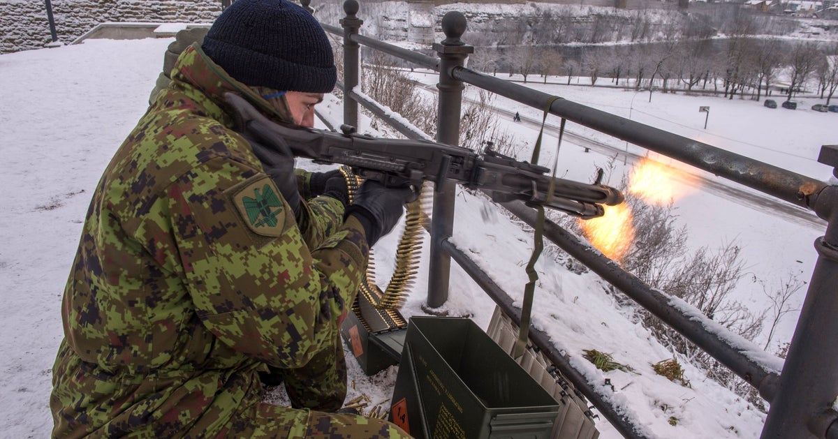 As Putin Looms And Trump Withdraws, Estonia Is Training Civilians To ...
