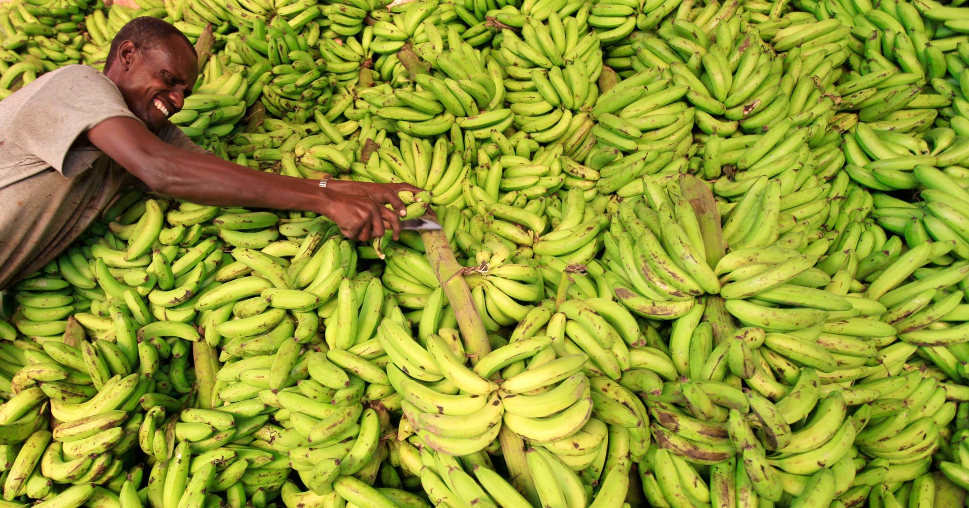 Somali Banana The Pleasure Of Food From Fingers To Mouth | San Diego