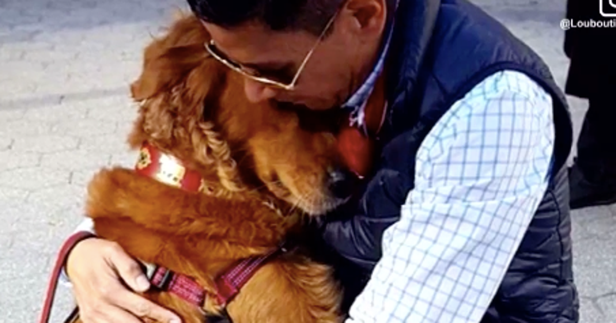 Cutest Dog Ever Gives Free Hugs To Strangers In New York City ...