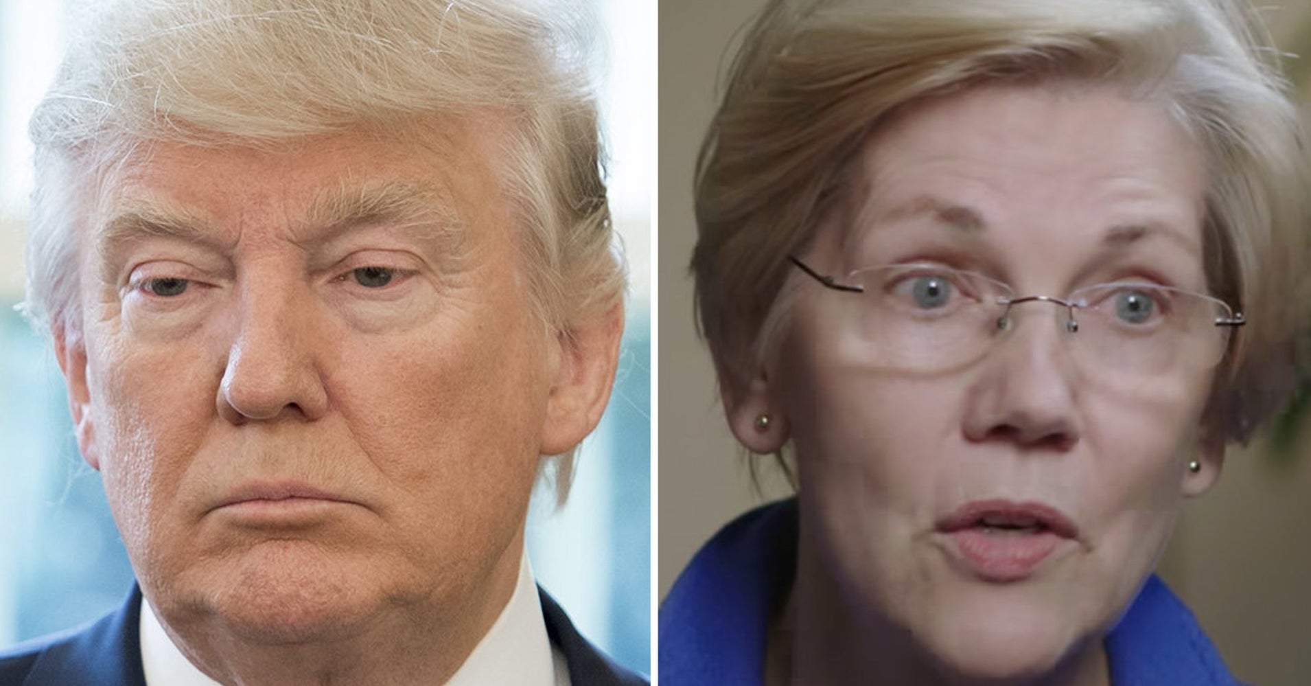 Elizabeth Warren Blasts Donald Trump For Not Draining The Swamp