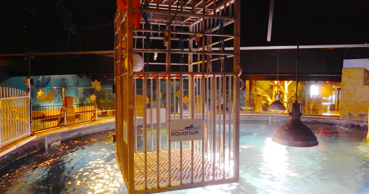 Long Island Aquarium, Riverhead NY: A Must See Stop On the Way to the ...