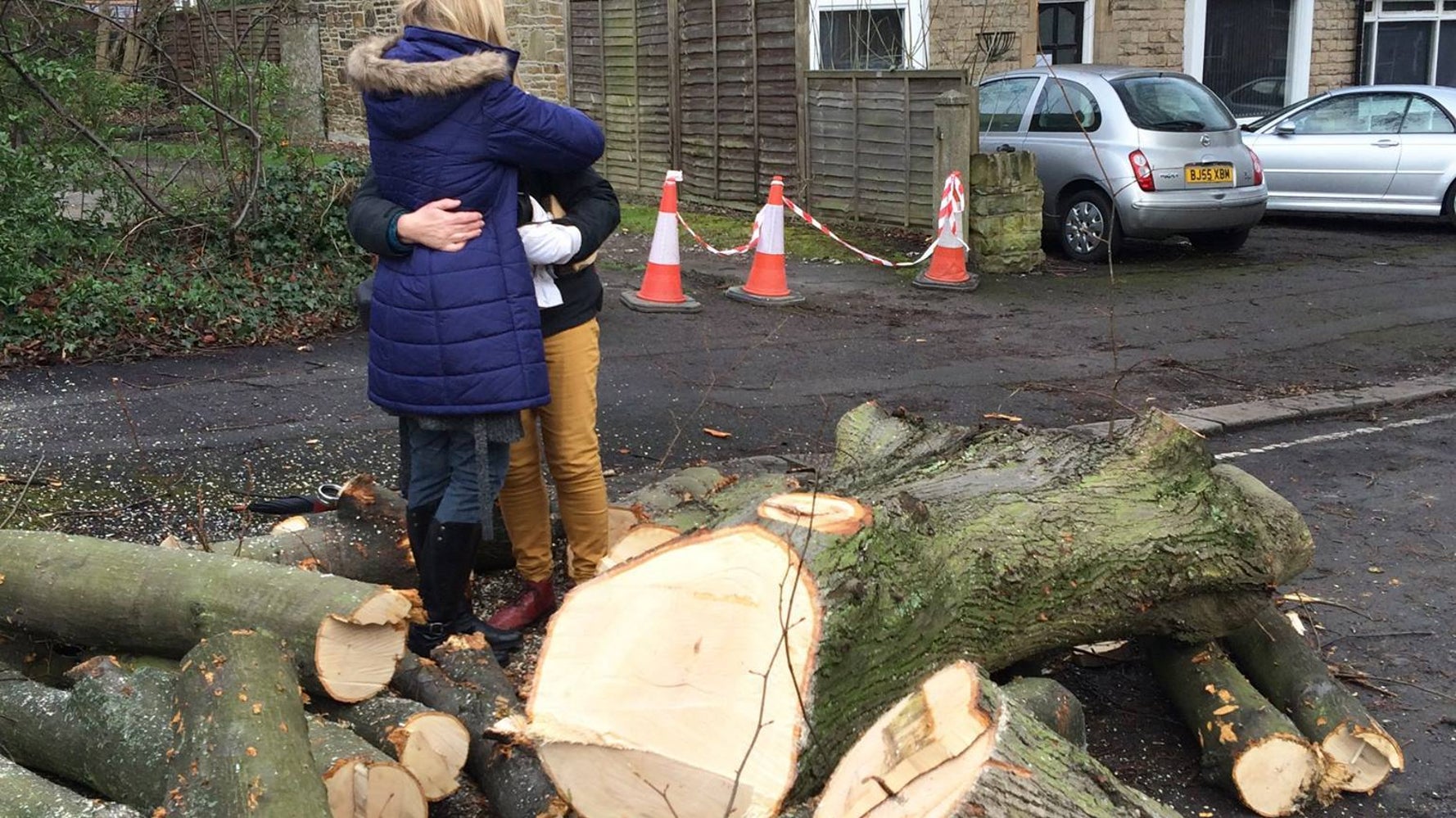 Why Are Sheffield's Trees Being Destroyed? | HuffPost