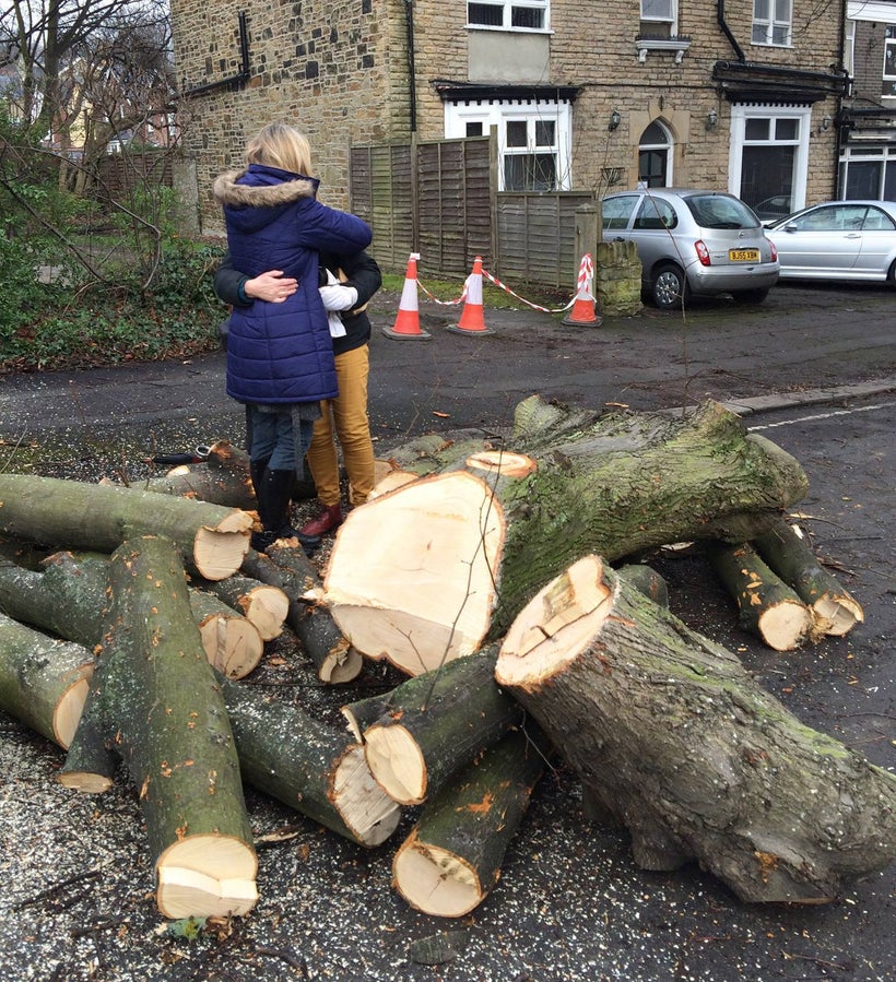 Why Are Sheffield's Trees Being Destroyed? | HuffPost