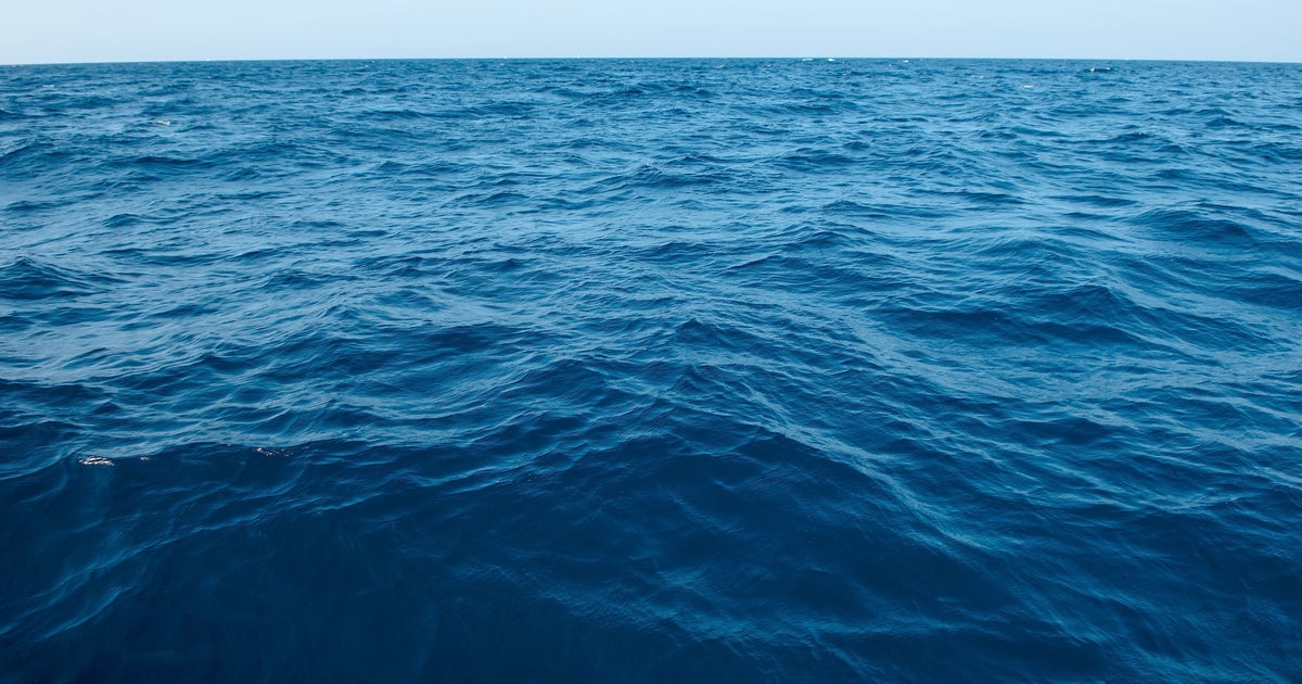 'Extremely High Levels' Of Toxic Pollutants Found In Deepest Parts Of ...