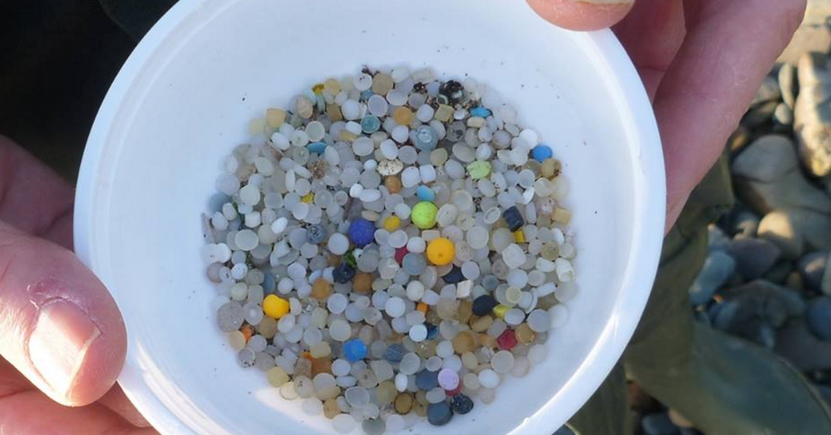 Tiny Plastic 'Nurdles' Discovered On 73% Of Beaches In Nationwide ...