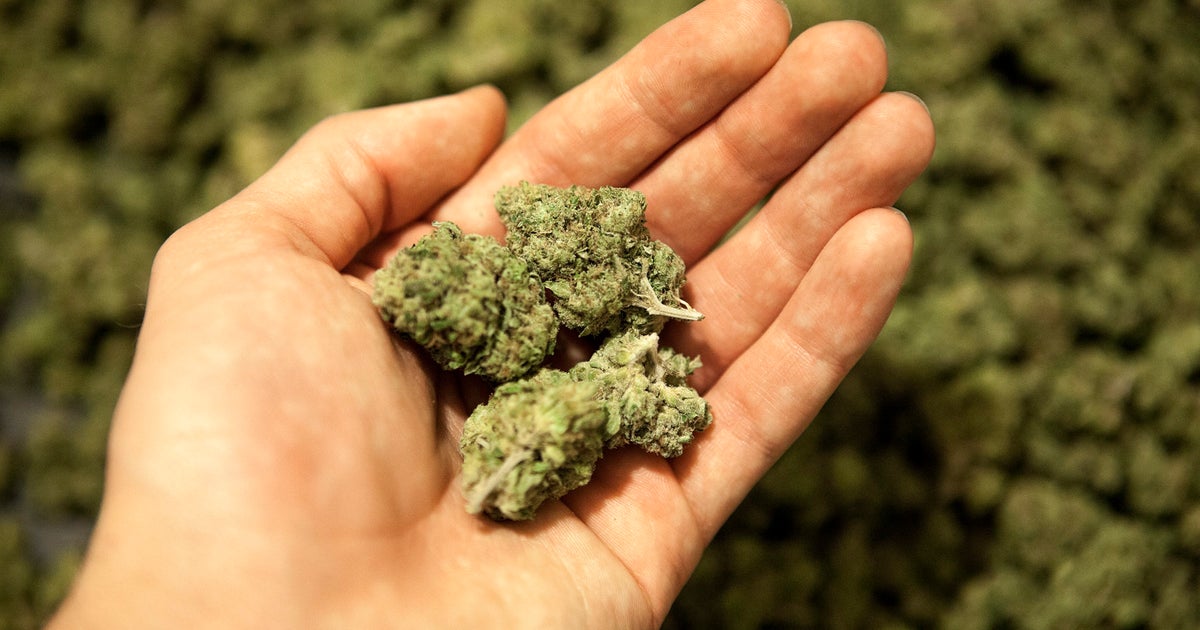 Houston Area To Decriminalize Some Low-Level Marijuana Possession ...
