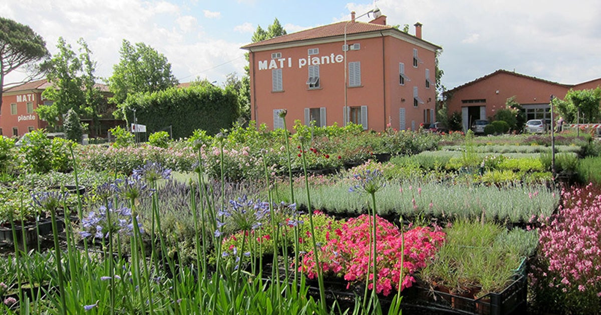 Life on the Edge: Challenging the Concept of Marginality | HuffPost ...