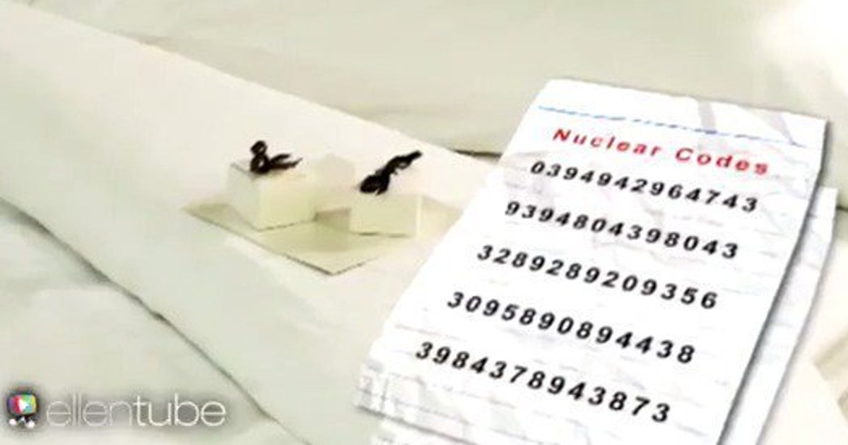 Ellen DeGeneres Zings Trump's Mar-A-Lago Security Bungle In Killer ...