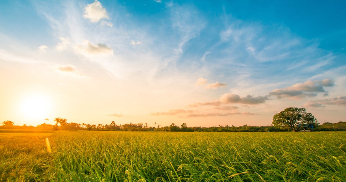 Freaky February Heat Waves Trigger More Chills Over Climate Change ...