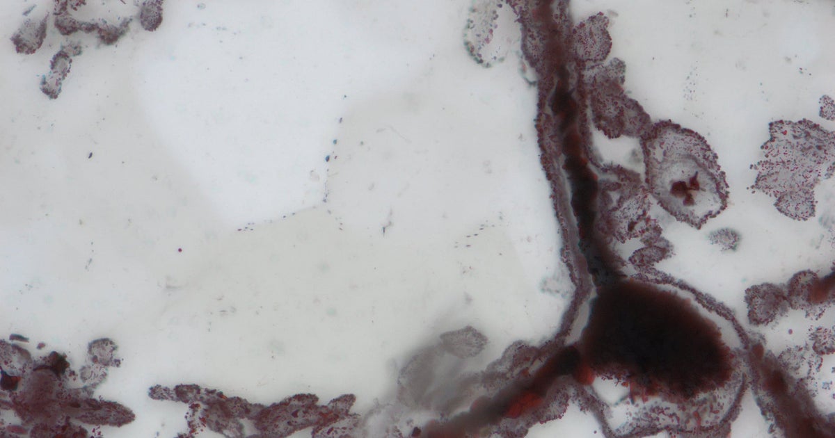 The 'Oldest Traces Of Life On Earth' Have Been Discovered In The Arctic ...
