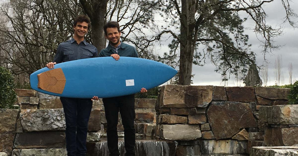 Meet The Dolphin Board of Awesome | HuffPost Contributor