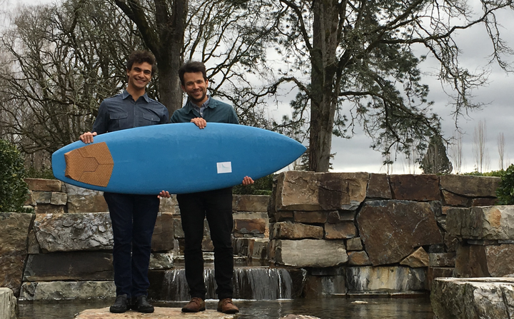 Meet The Dolphin Board of Awesome | HuffPost Contributor