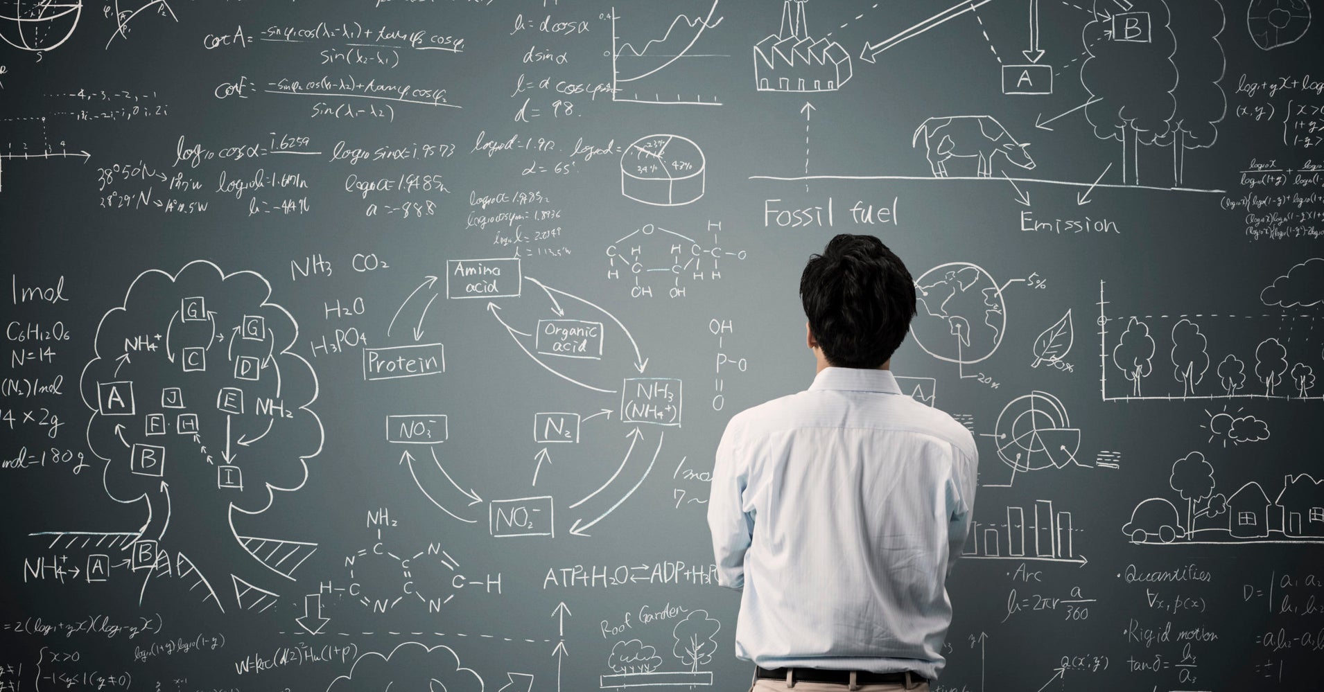 How I Became The NPR Math Guy | HuffPost