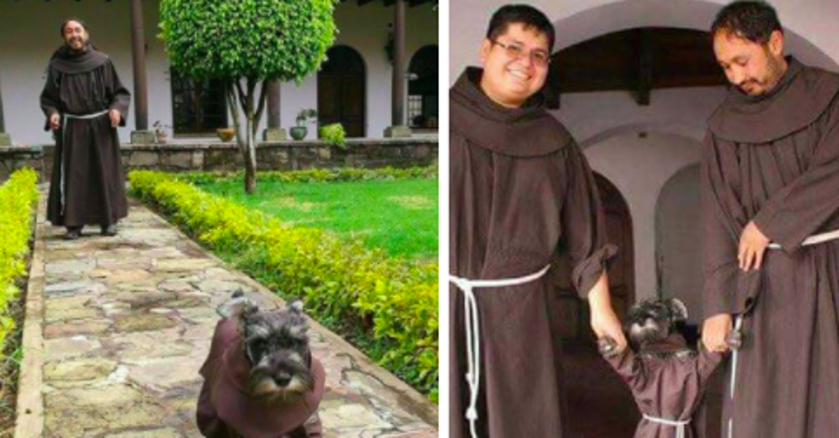This Mustachioed Pup Just Joined A Franciscan Monastery | HuffPost ...