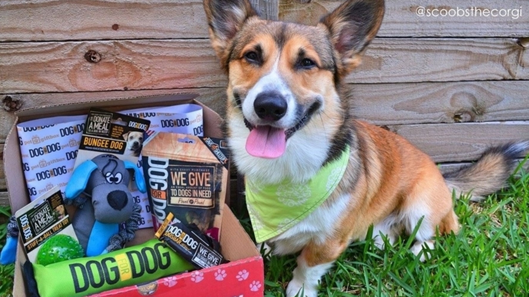 David Polinsky – One Site Fits All | HuffPost Contributor