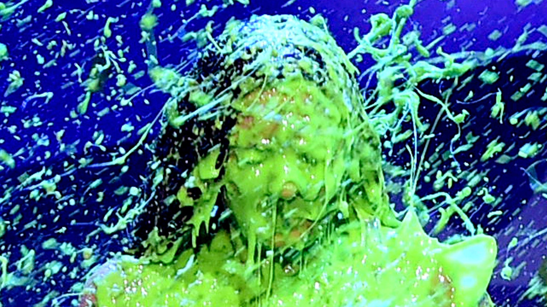 Demi Lovato Is Hit With A Truly Aggressive Amount Of Slime At Kids ...