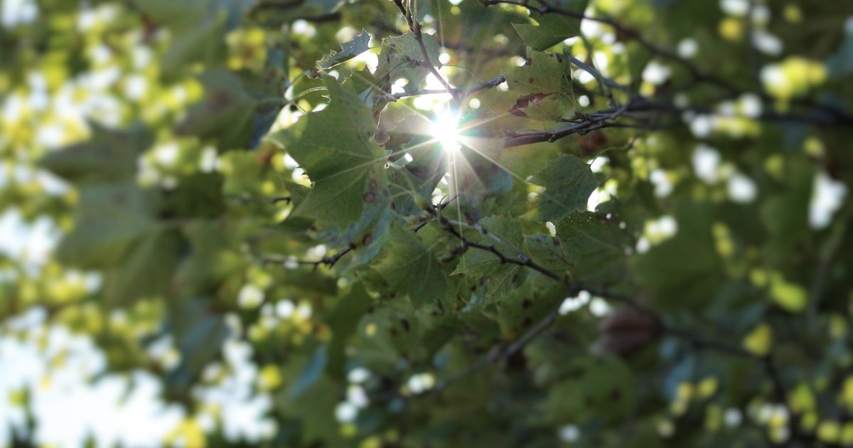 This Is Us: 5 Reasons I Love This Show | HuffPost Contributor