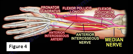 I Can't Do The OK Sign, What Does it Mean? | HuffPost