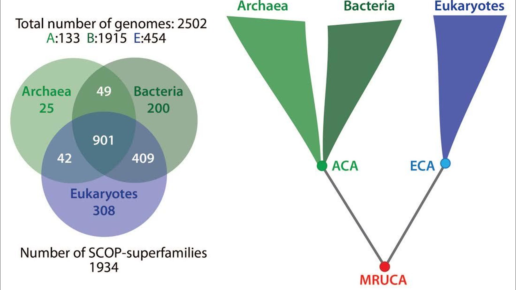 DEEP EVOLUTION and its discontents | HuffPost Contributor