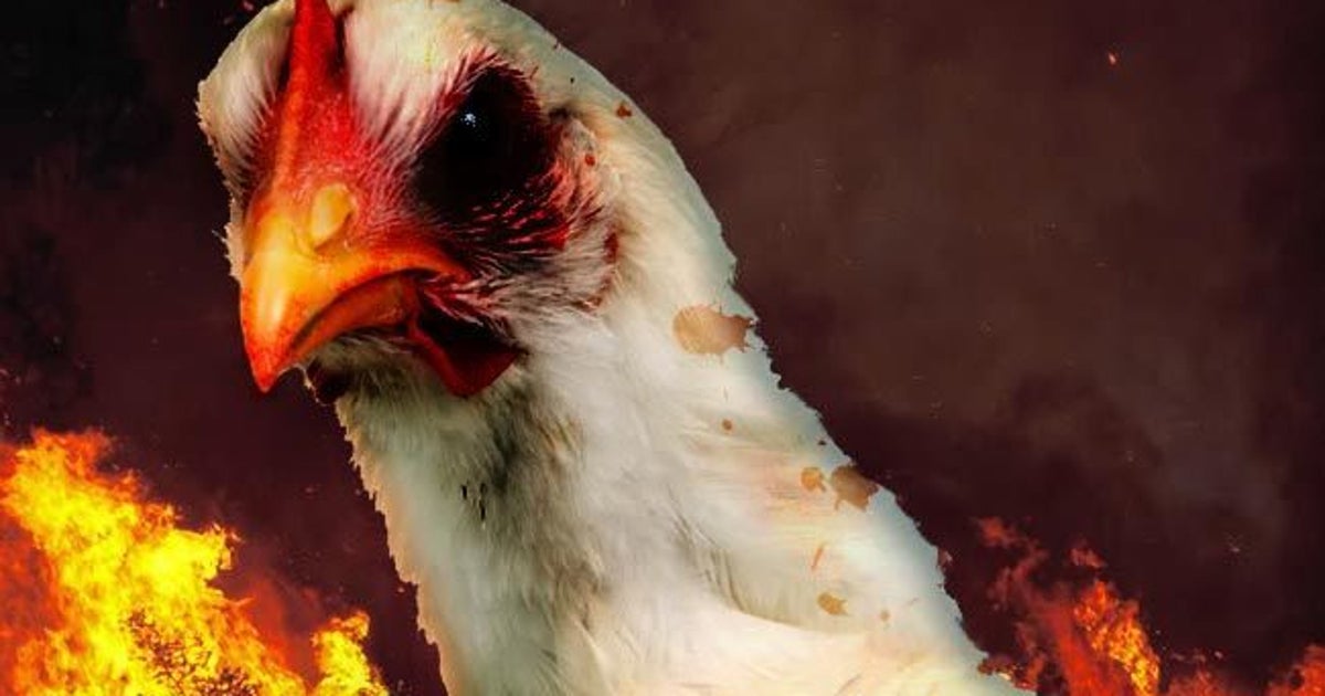 Chicken Farming the Apocalypse (Trump Edition) | HuffPost Contributor