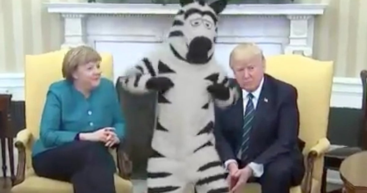 John Oliver's Weird Trump-Crashing Zebra Is The New Meme You'll See ...