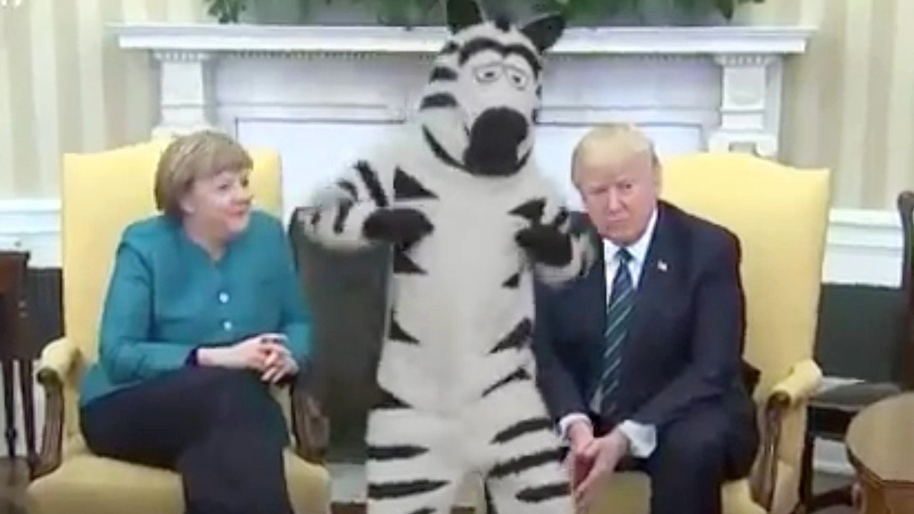 John Oliver's Weird Trump-Crashing Zebra Is The New Meme You'll See ...