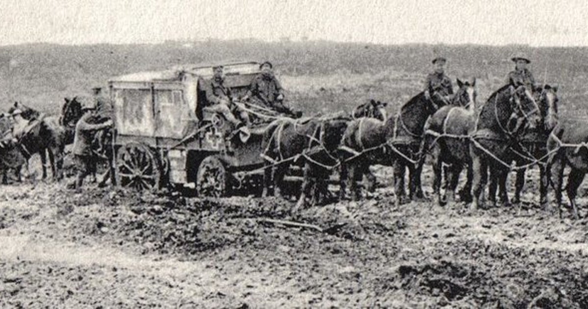 Our World War I ‘Horse Heroes’ | HuffPost Contributor