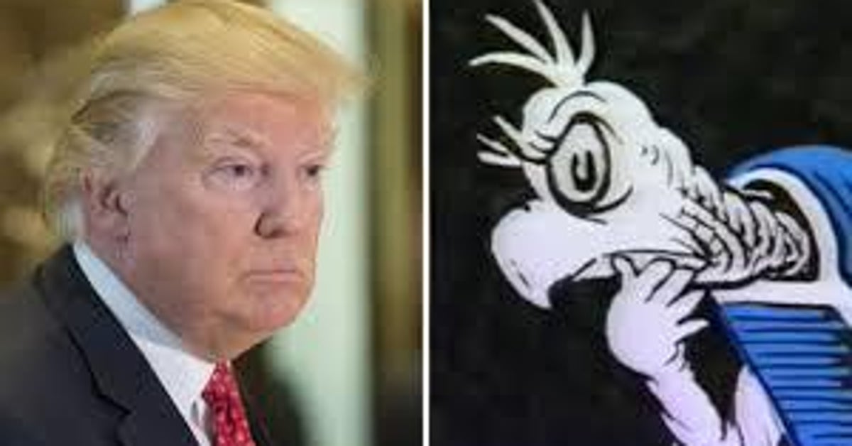 Durdle the Turtle King and the Fall of the Wall* | HuffPost Contributor