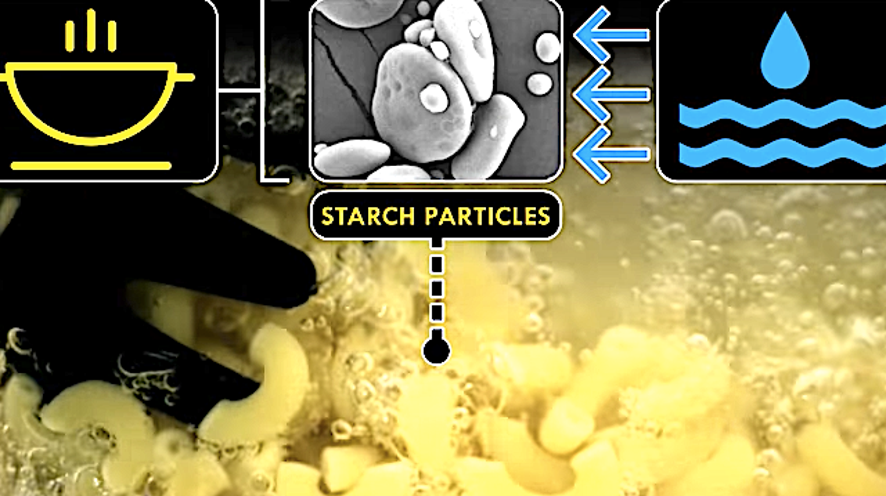 Let Science Teach You The Absolute Best Way To Cook Pasta | HuffPost Life