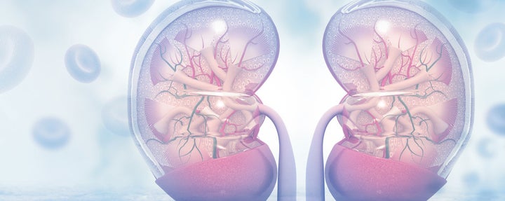 5 Ways to Love Your Kidneys This Month | HuffPost Contributor
