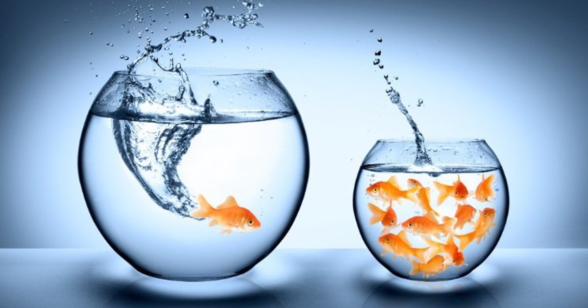 7 Challenges That Will Make You More Successful | HuffPost Life